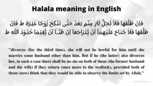 Understanding Logic Of Halala In Islam: An In-Depth Guide ...